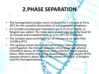 ISOLATION OF RNA | PPTX