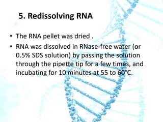 ISOLATION OF RNA | PPTX