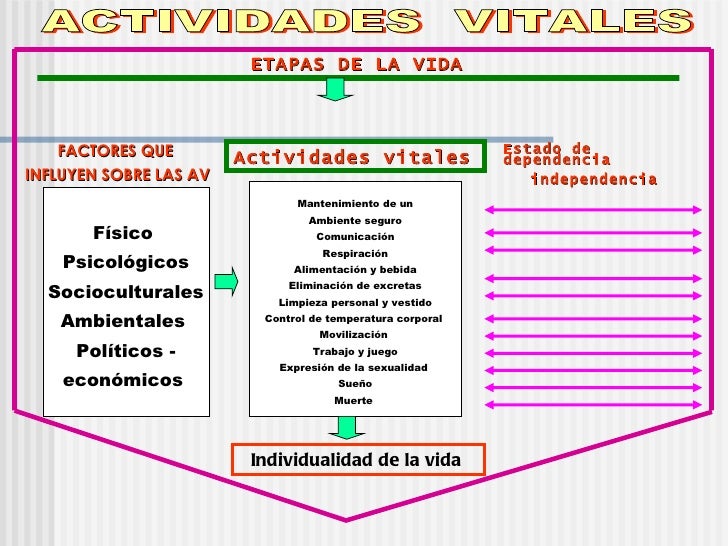 nancy roper on emaze