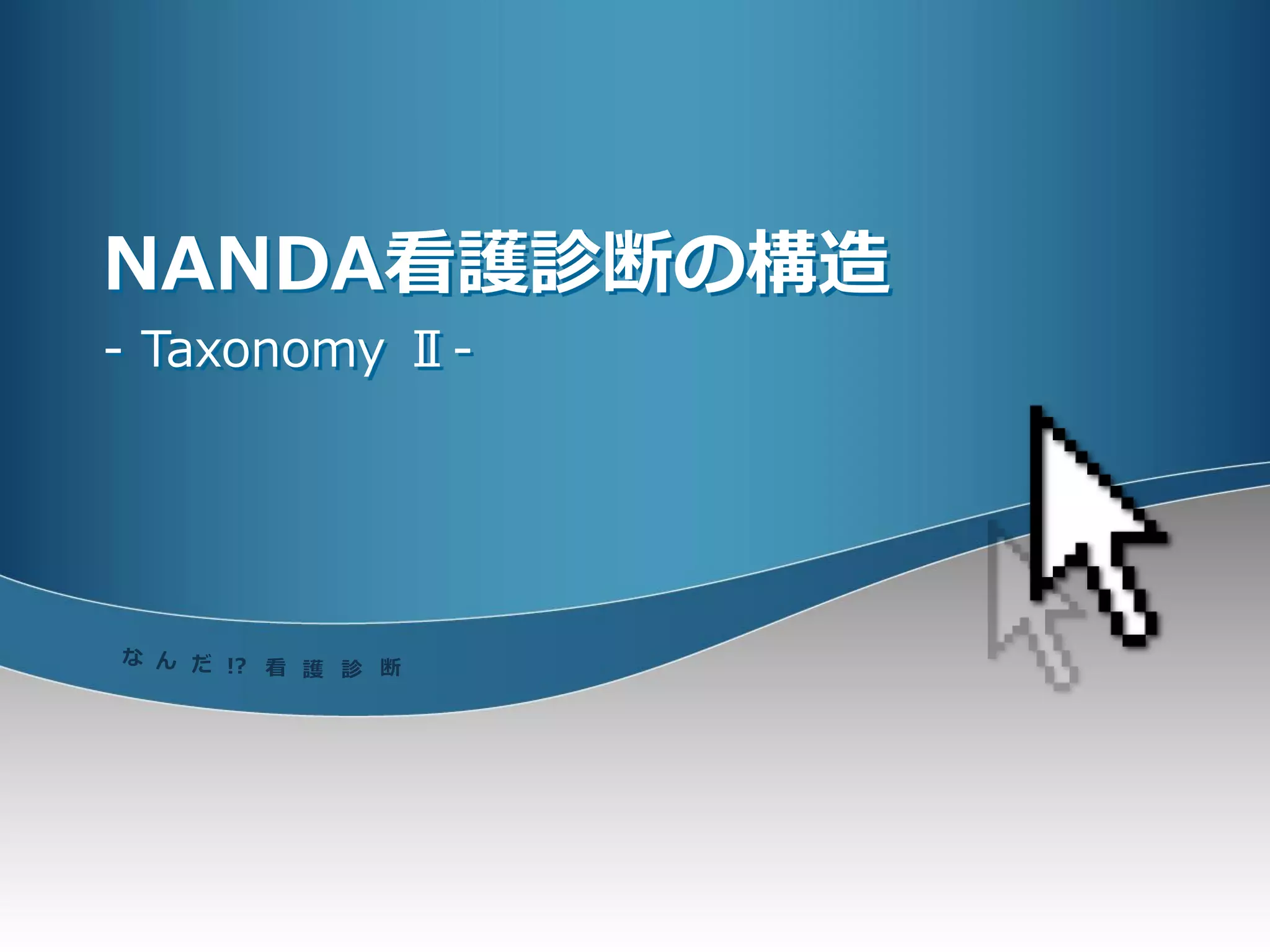 NANDA看護診断 入門編 | PPT