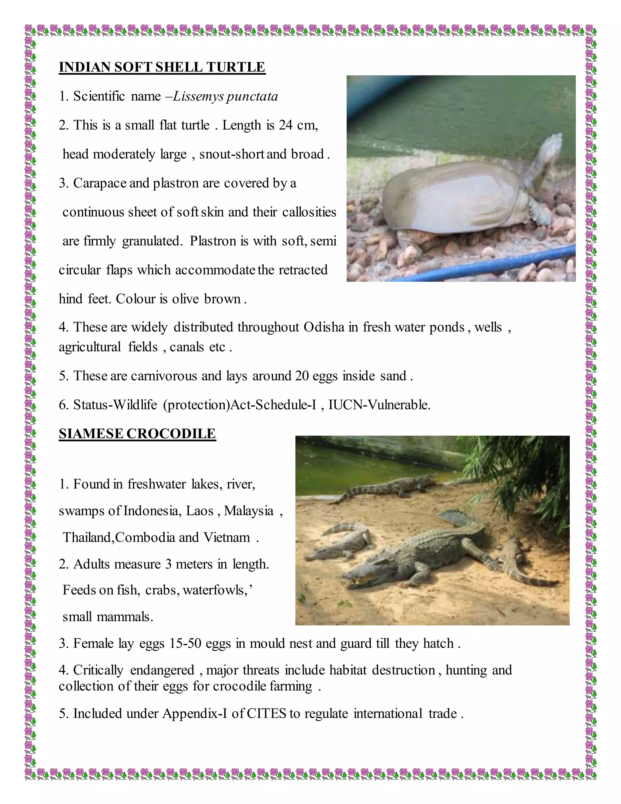 Nandankanan zoologycal park | DOCX