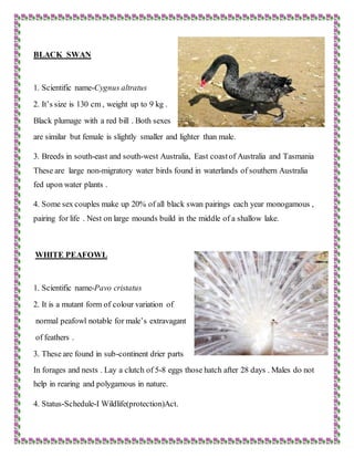 Nandankanan zoologycal park | DOCX