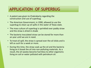 Biodegradable of plastic and superbug... | PPTX