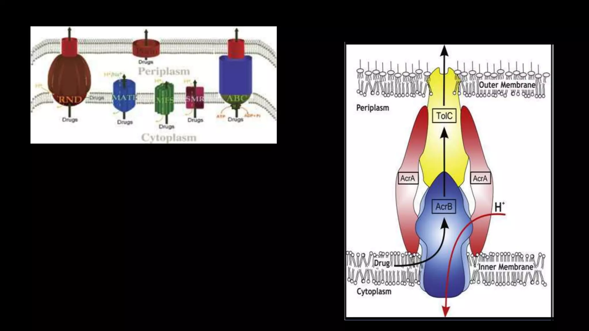 antibiotic resistance via efflux pumps | PPTX