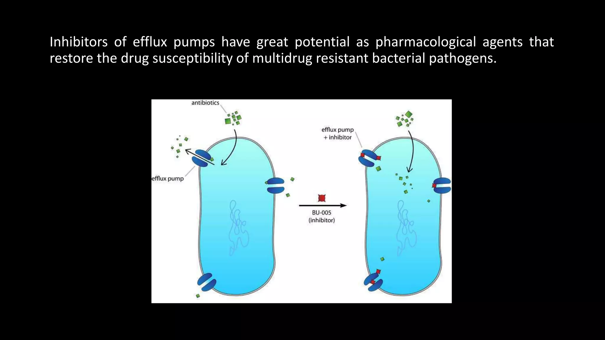 antibiotic resistance via efflux pumps | PPTX