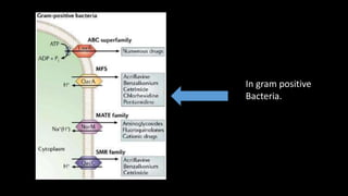 antibiotic resistance via efflux pumps | PPTX