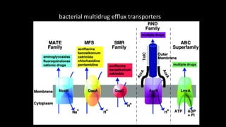 antibiotic resistance via efflux pumps | PPTX