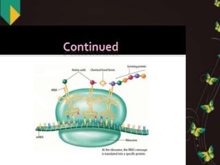 ribosomes seminar preparation - copy | PPTX