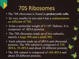 ribosomes seminar preparation - copy | PPTX