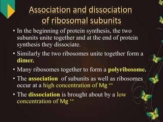 ribosomes seminar preparation - copy | PPTX