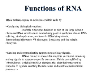 RNA As molecule of LIFE | PPTX