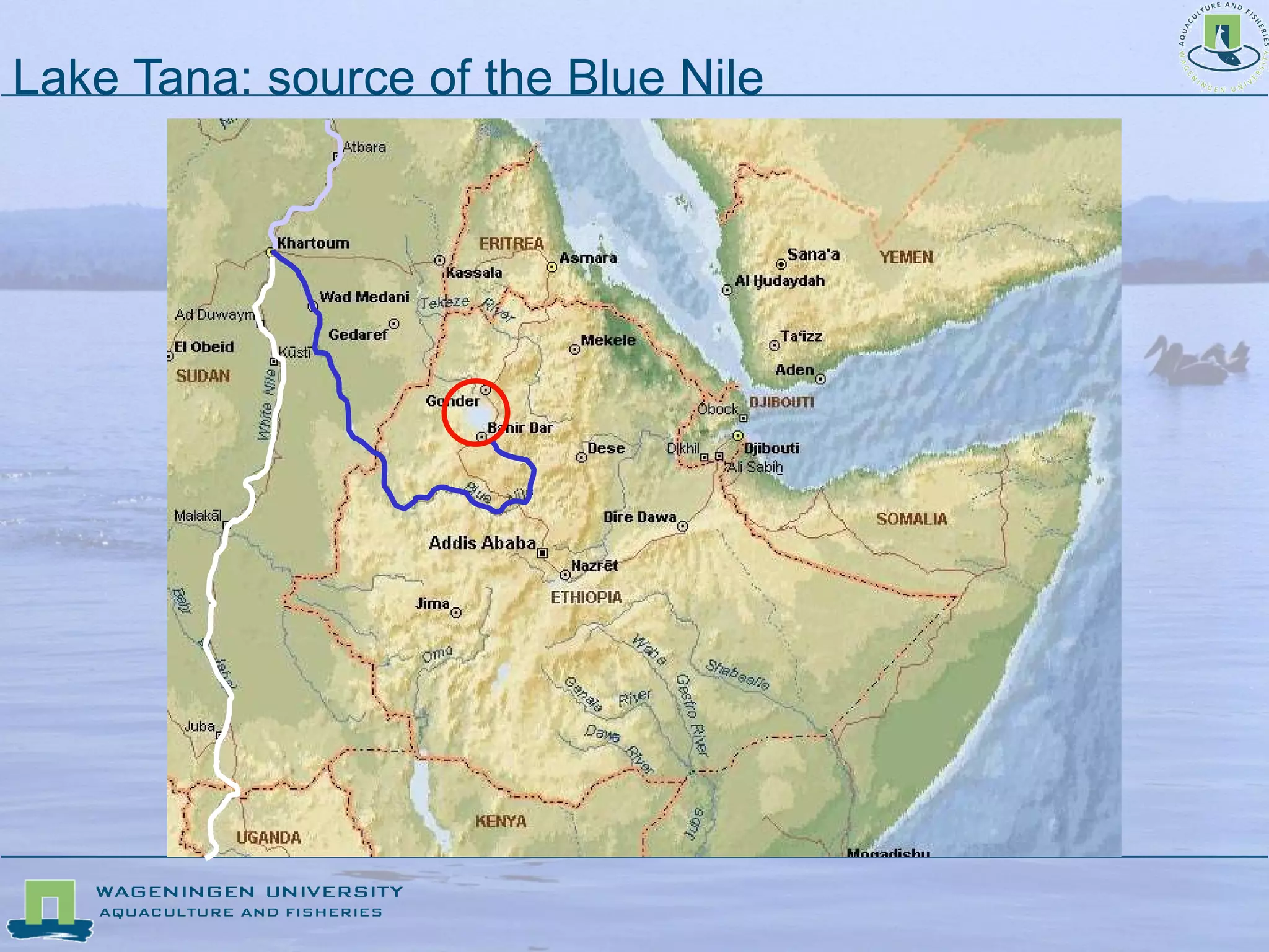 Understanding biology from natural history: Lake Tana and its fishes | PPT