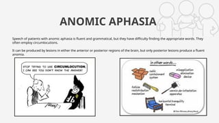 Speech disorder physiology of behavior helpful in behavioral science | PPTX