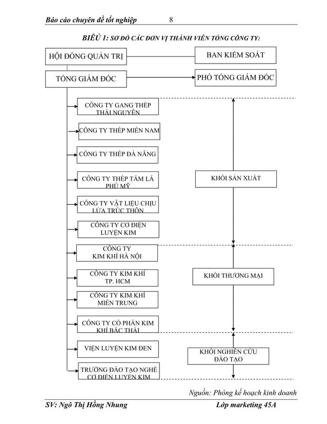 Giải pháp Marketing nhằm nâng cao năng lực cạnh tranh của Tổng công ty Thép Việt Nam | PDF