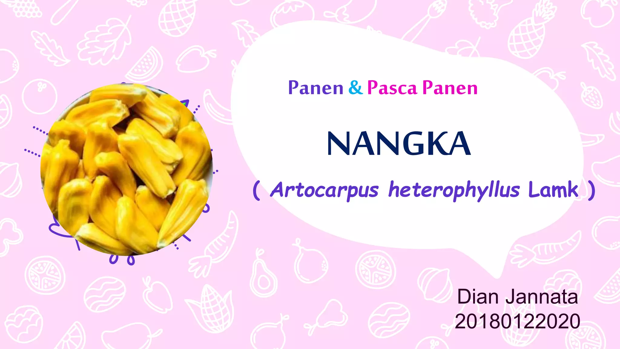 Panen dan Pasca Panen Nangka (Artocarpus heterophyllus Lamk) | PPTX