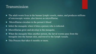 Lymphatic Filariasis | PPTX