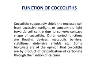 Nannofossils- Swapnil.pptx