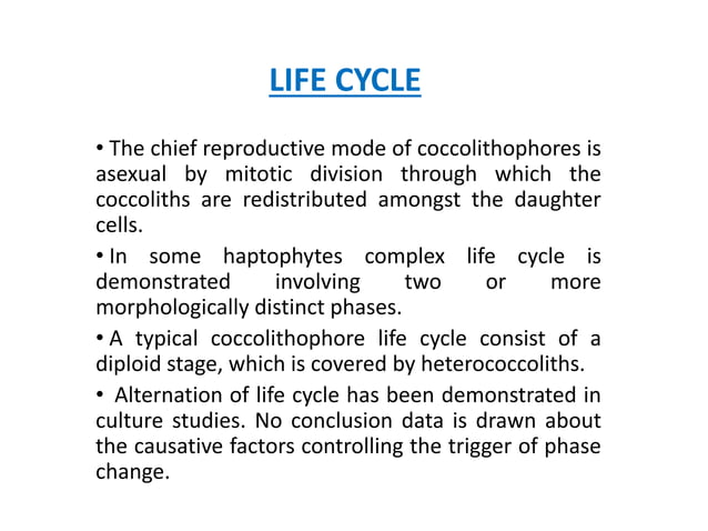 Nannofossils- Swapnil.pptx