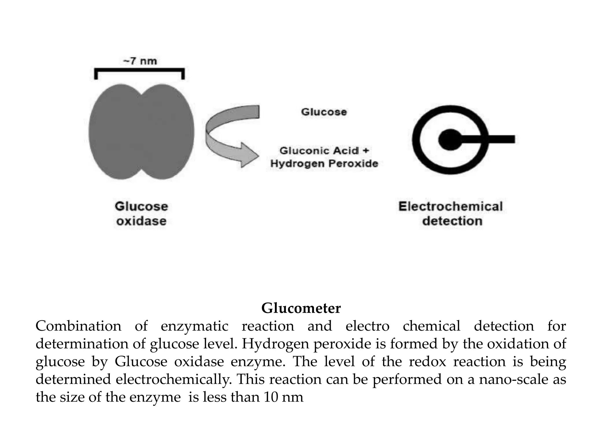 Nanobiotechnology lecture 1 | PPTX