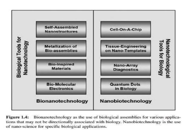 Nanobiotechnology lecture 1 | PPTX