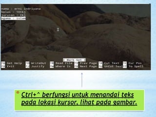 teks editor nano | PPT