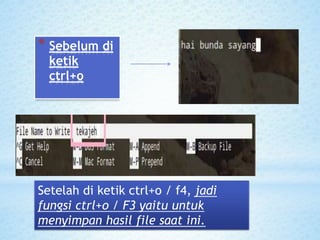 teks editor nano | PPTX
