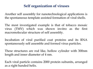 Nanobiotechnology lecture 3 | PPT