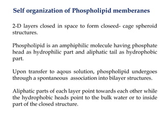 Nanobiotechnology lecture 3 | PPT