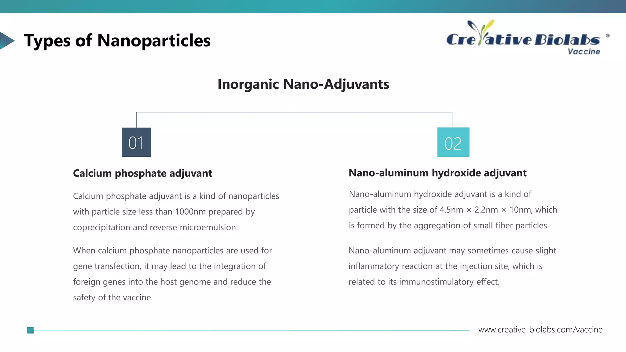 Nano Adjuvant - Creative Biolabs | PPTX