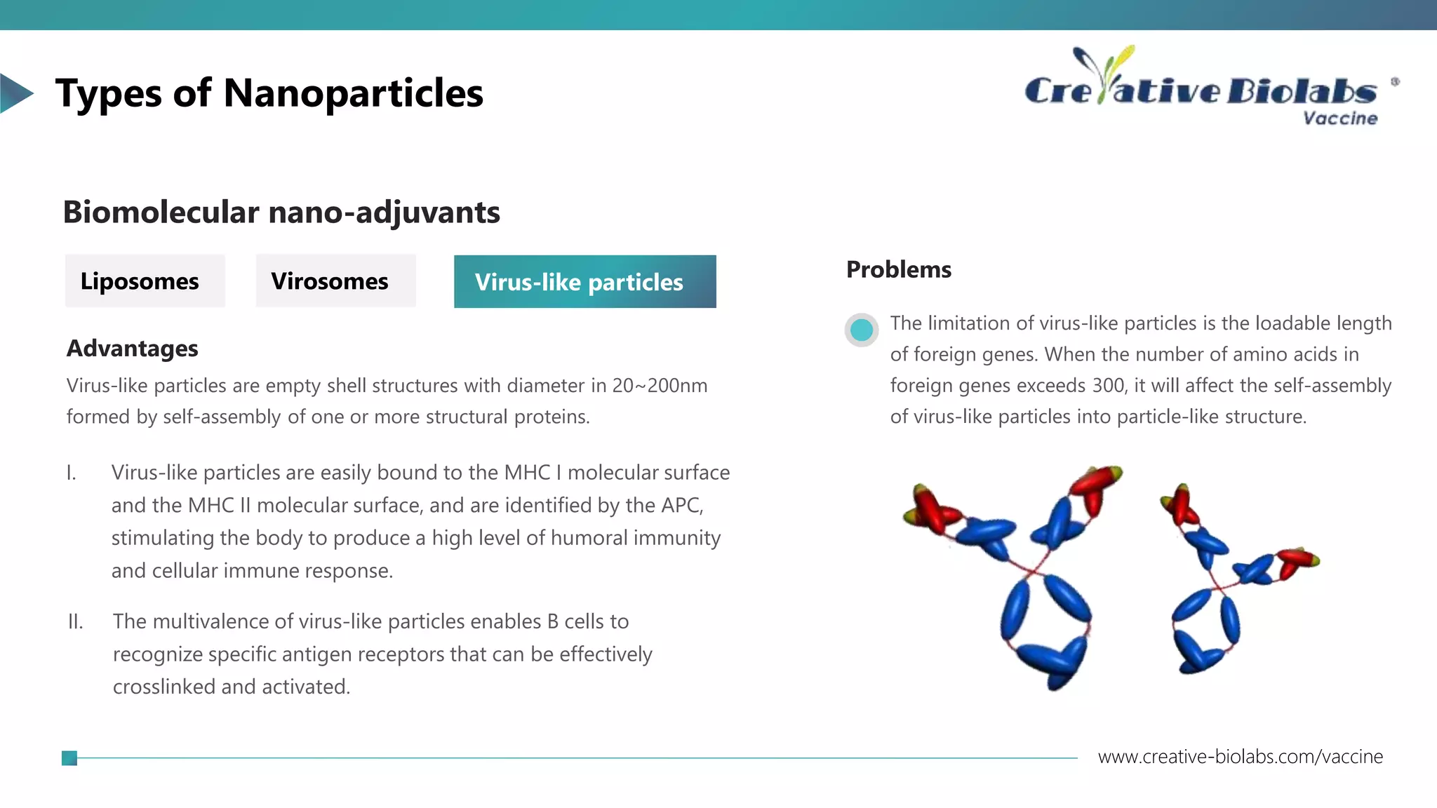Nano Adjuvant - Creative Biolabs | PPTX