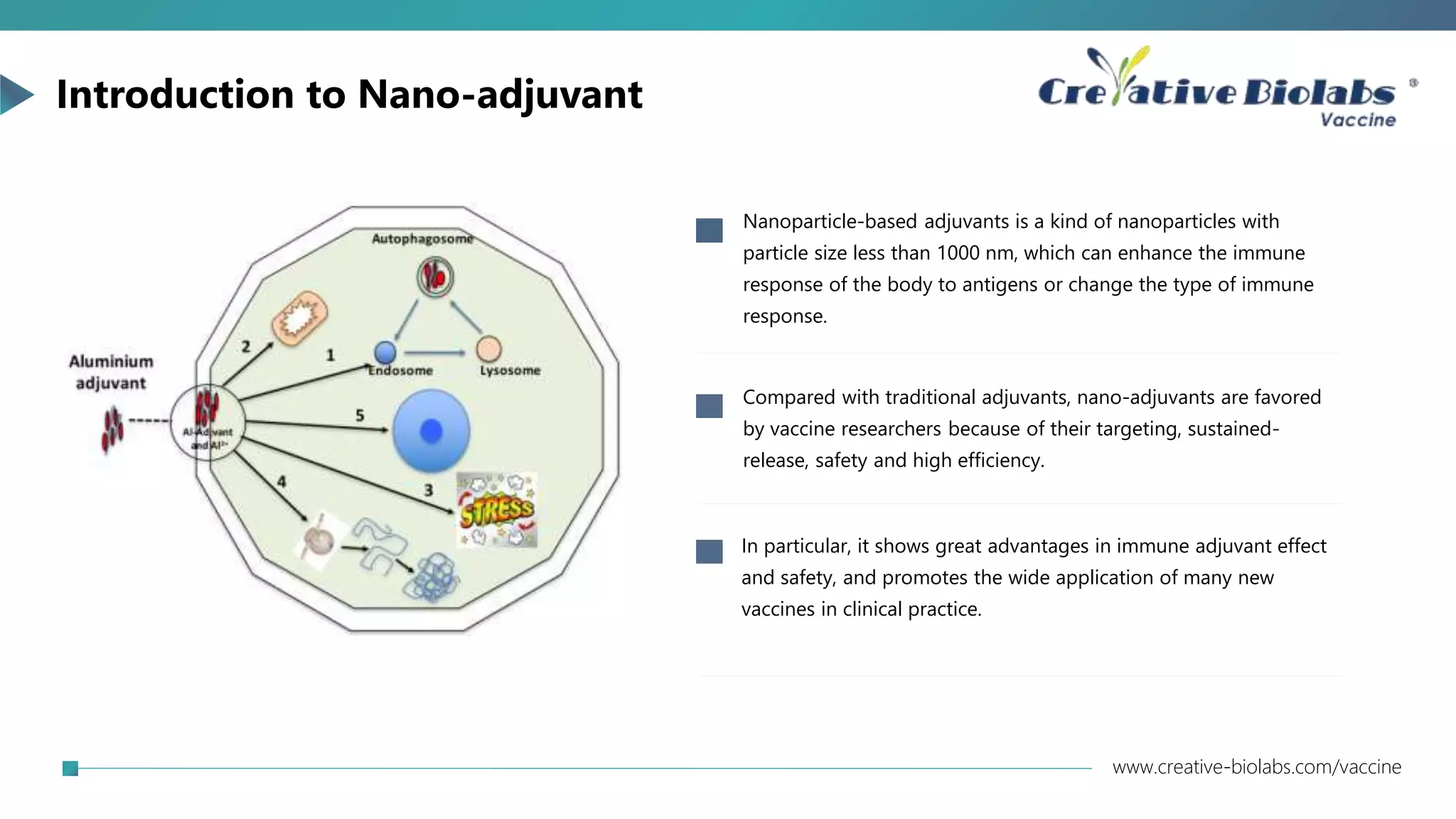 Nano Adjuvant - Creative Biolabs | PPTX
