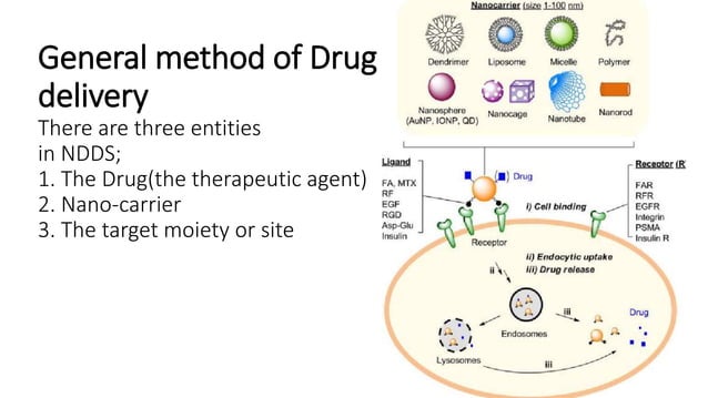 Nano based drug delivery systems | PPTX | Chemistry | Science