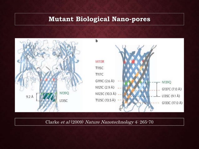 Nano Pore sequencing | PPTX