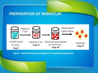Nano clay and its applications | PPTX