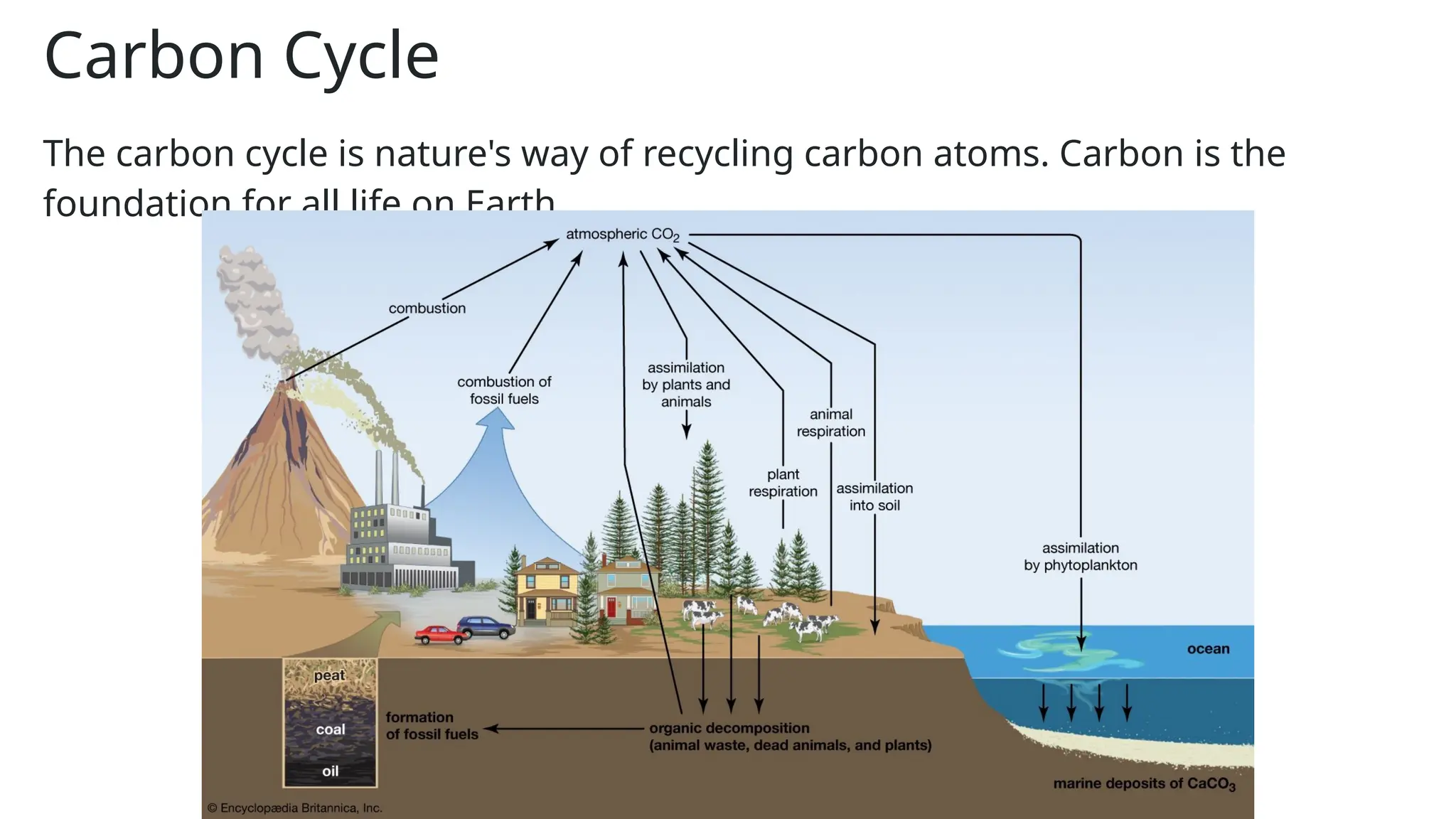 Introduction to the Carbon based materials | PPTX