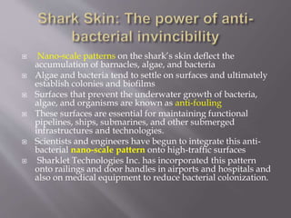 Nano biomimatics | PPT