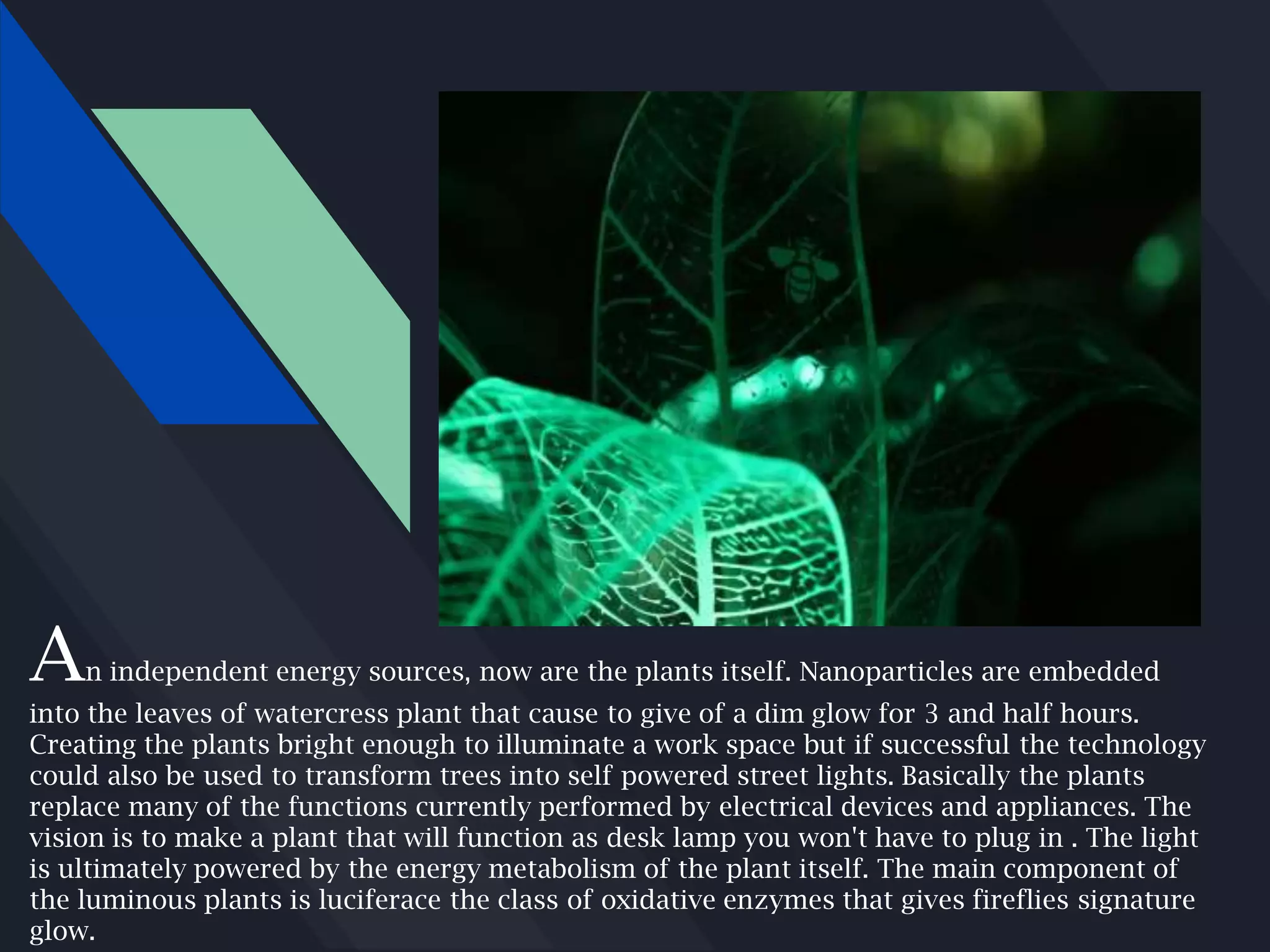 Nanobionic light emitting plant | PPT