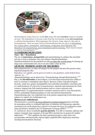 Nanobioremediation by shreya | DOCX