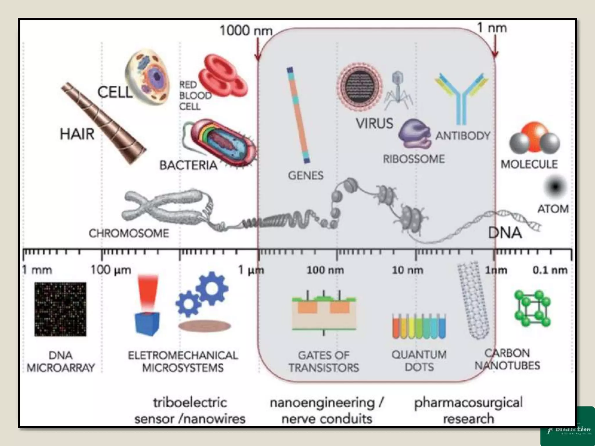 Nanobiotechnology - Introduction, Concept, Scope, Vision, Applications and Present and Future ...