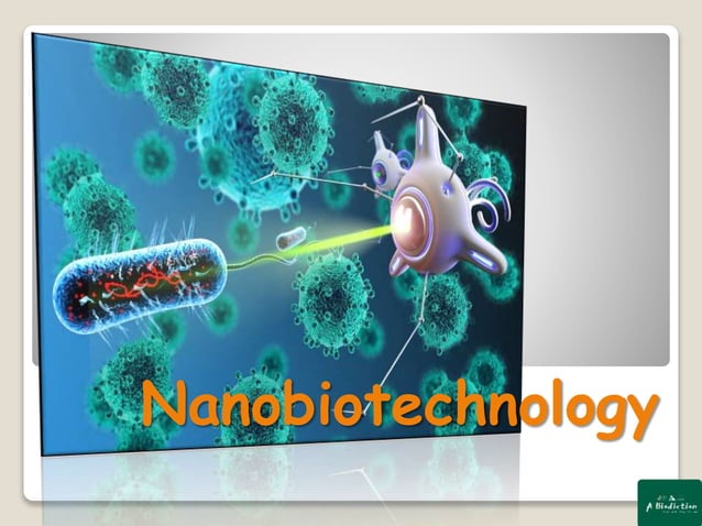 Nanobiotechnology - Introduction, Concept, Scope, Vision, Applications and Present and Future ...