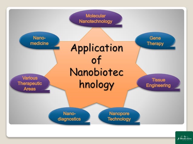 Nanobiotechnology - Introduction, Concept, Scope, Vision, Applications and Present and Future ...