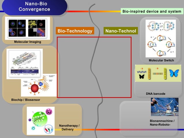 Nanobiotechnology | PPT