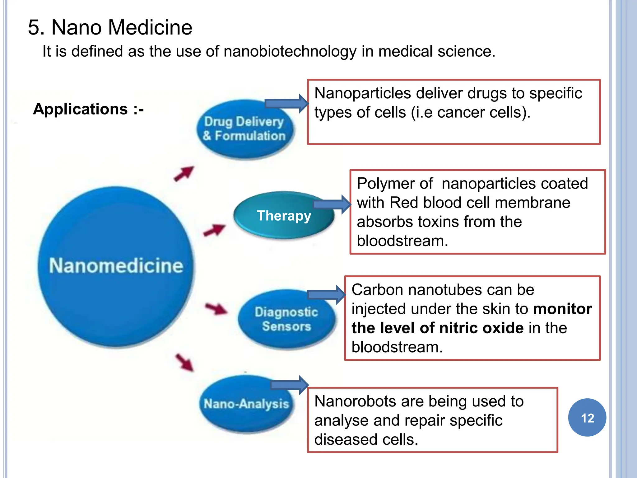 nanobiotechnology-nanobiotechnology .pdf