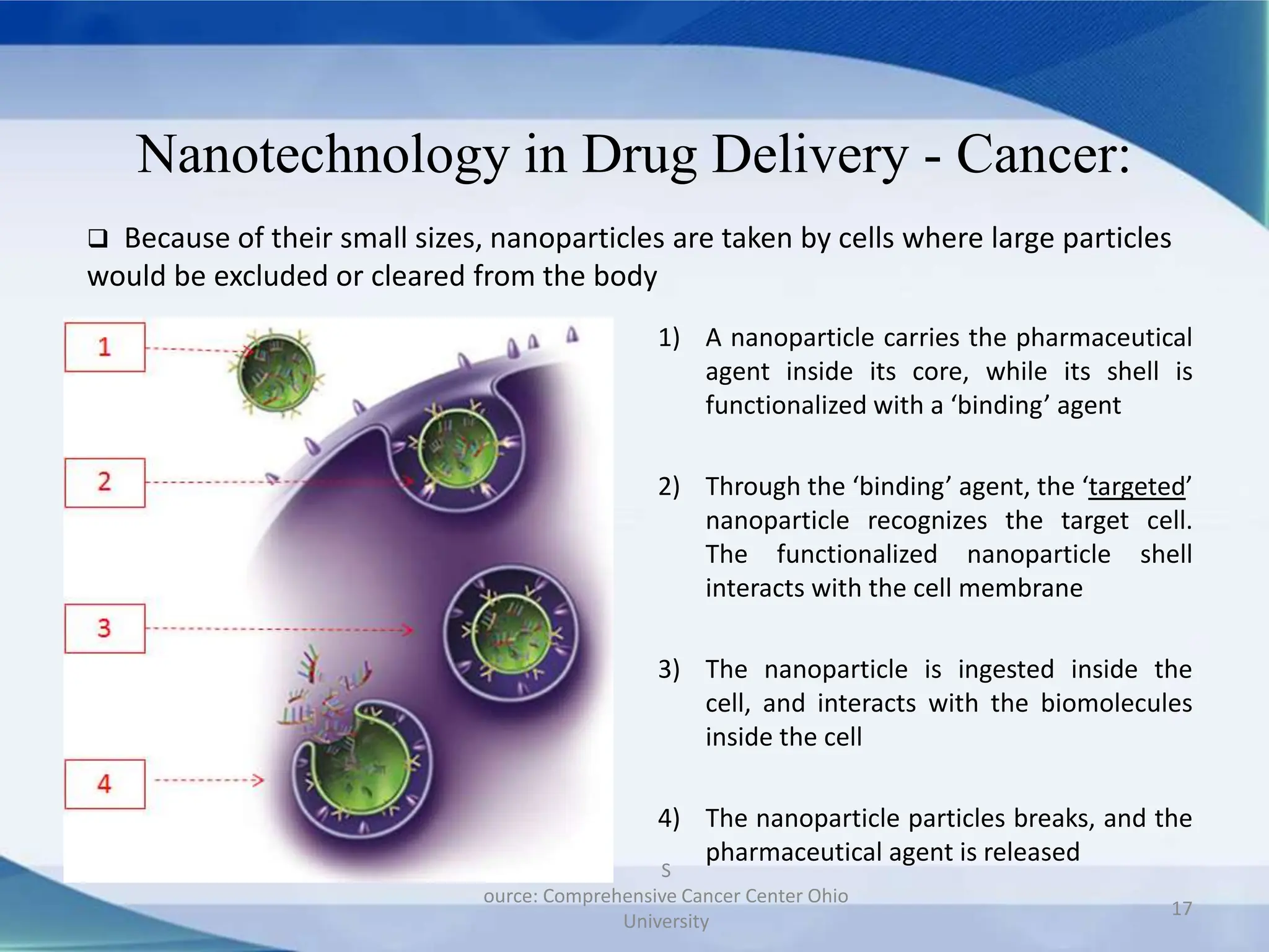 Principles of Nanobiotechnology. ppt.ppt