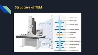 Atomic force microscopy(AFM),Scanning electron microscopy (SEM ...