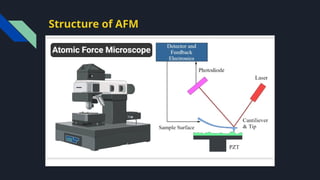 Atomic force microscopy(AFM),Scanning electron microscopy (SEM ...