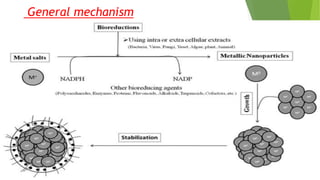 Green synthesis of nanoparticles | PPTX