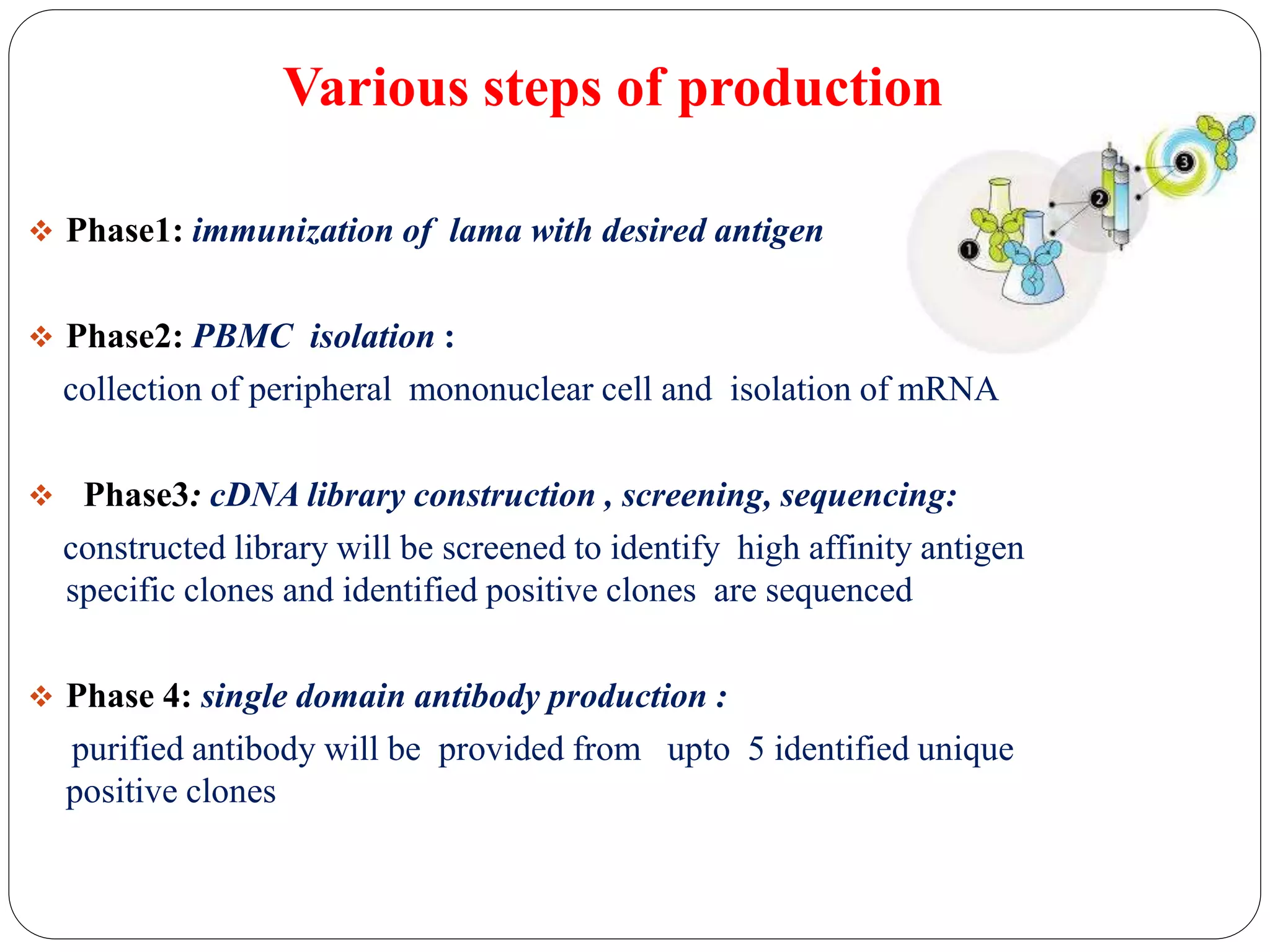 single chain fragment variable antibody(ScFv) | PPTX