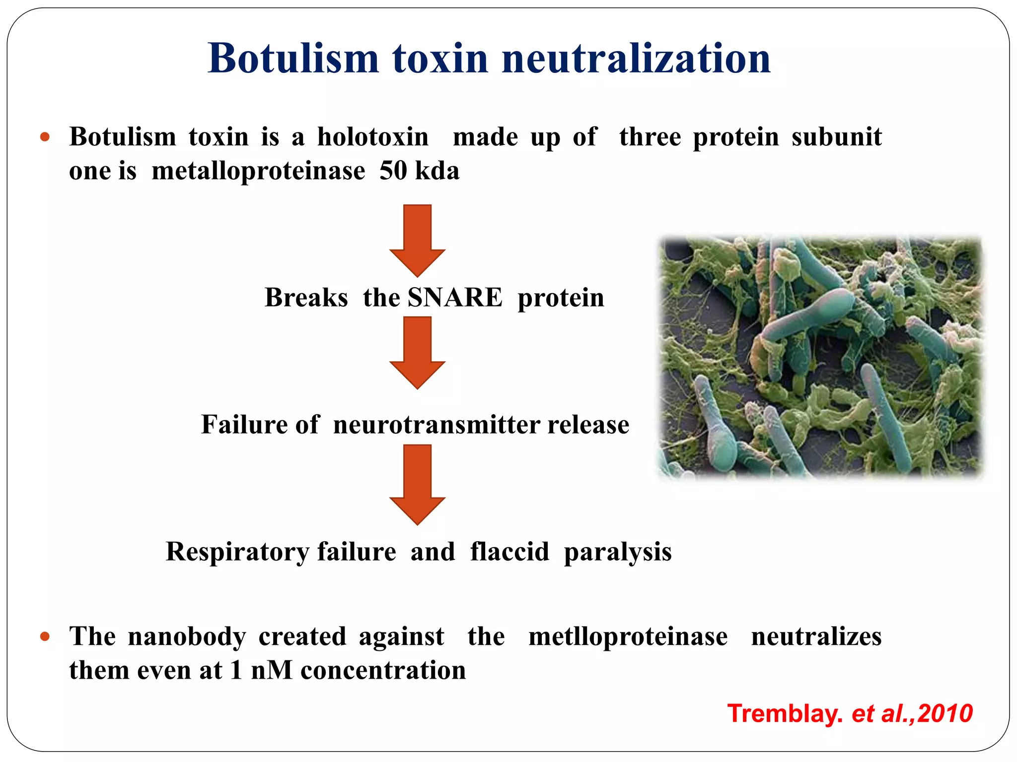single chain fragment variable antibody(ScFv) | PPTX