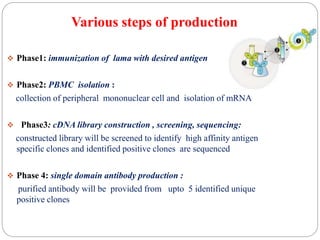 single chain fragment variable antibody(ScFv) | PPTX
